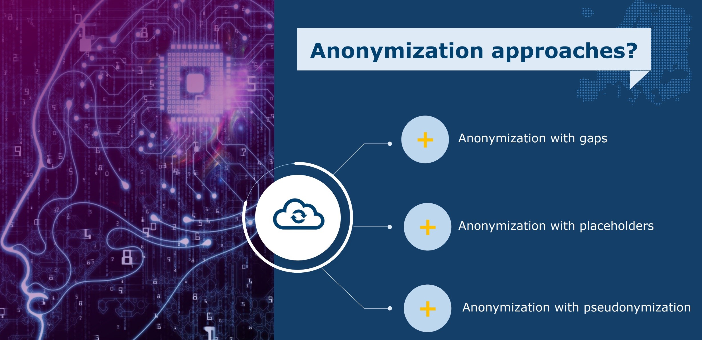 eMpTy Pages: Anonymization Regulations and Data Privacy with MT
