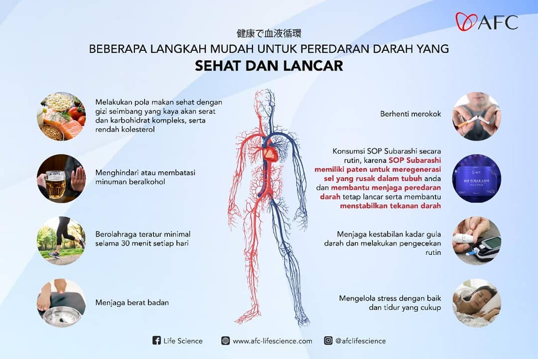 SOP SUBARASHI, UTSUKUSHHII, SOP 100+ dan SENSEI SURU AFC: SOP SUBARASHI