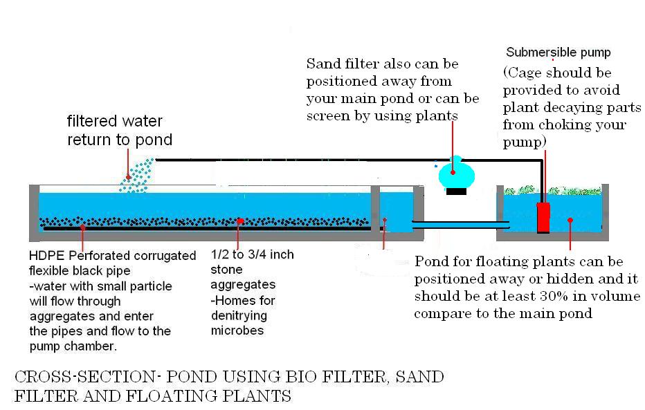 Agrobio Resources: Other alternatives of Bio-Filter for your ponds ...