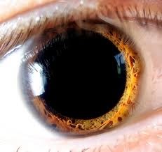 Dilating Eyedrops: A Closer Look