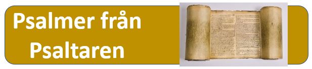 rupebabloggen: Dagens psalm: VISA MIG DINA VÄGAR