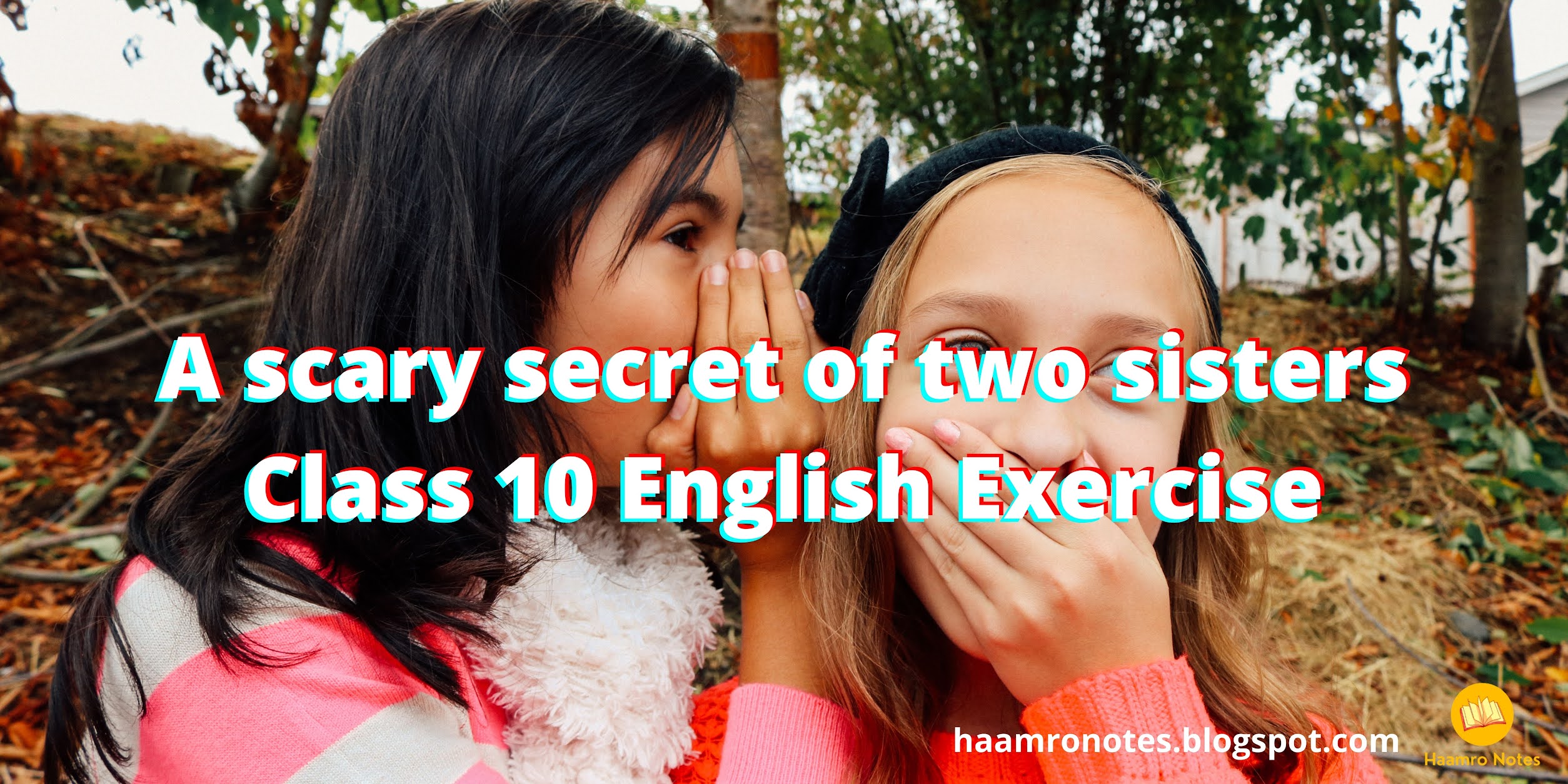 A Scary secret of two sisters :Class 10 English Exercise - Haamro Notes