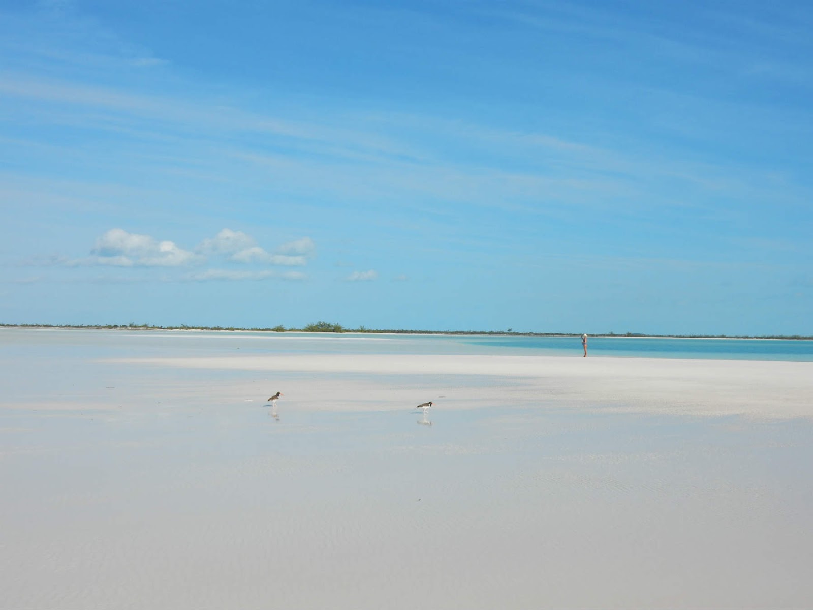 Dicas de viagem para as Exumas, nas Bahamas - Renata Viaja...