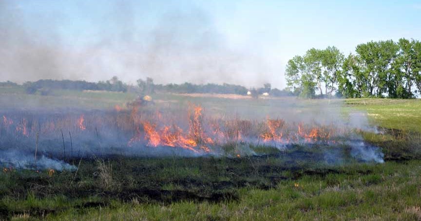 Taken For Granted: Grass Fire Pictures