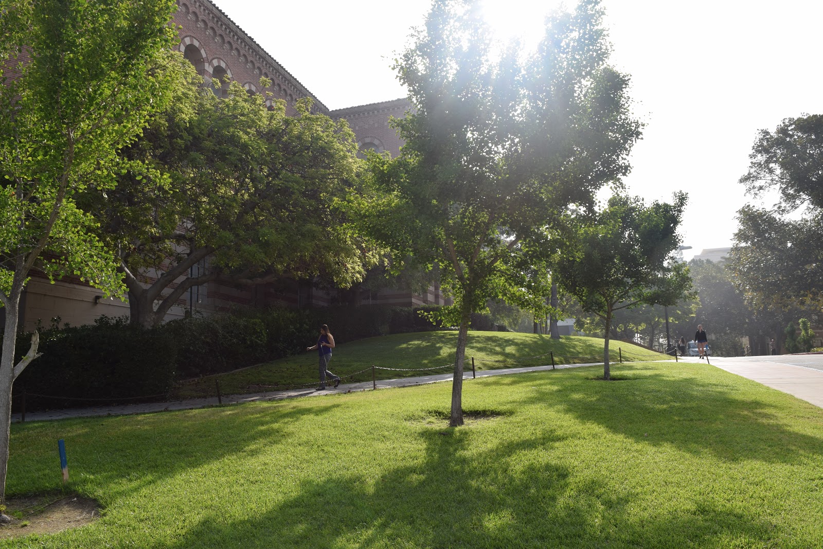Travel for a Purpose: UCLA Campus around Election Walk Area