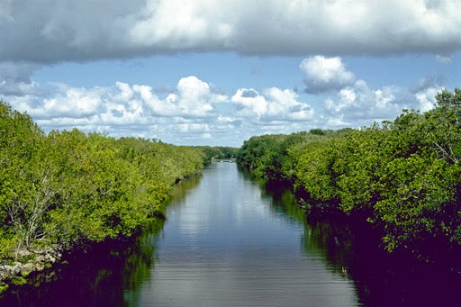 Florida Everglades Ecosystem: Ecosystem Description Florida Everglades Ecosystem: Ecosystem Description