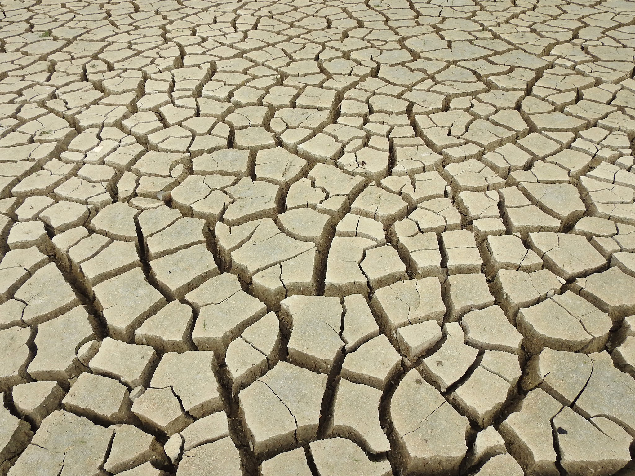 Nature Botherer : West Rise Marsh