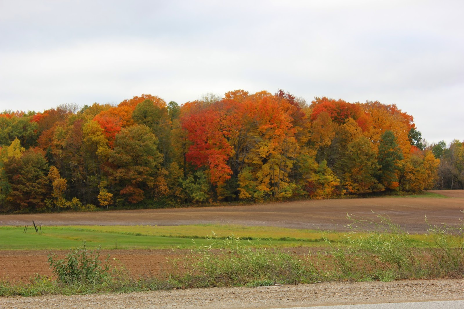 Half-Past Kissin' Time: Letting Go of Fall