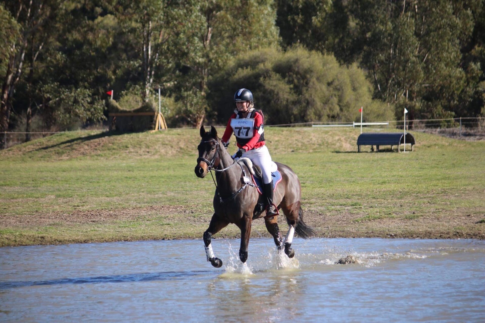 Competition Report - Henry goes XC | Horse and Hound Forum