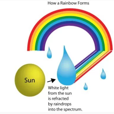 How Does The Rainbow Occur? | Physich for Senior