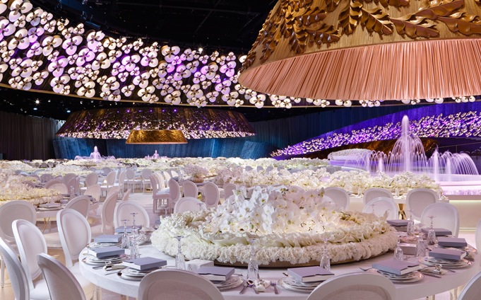 the cinderella project: because every girl deserves a happily ever ...