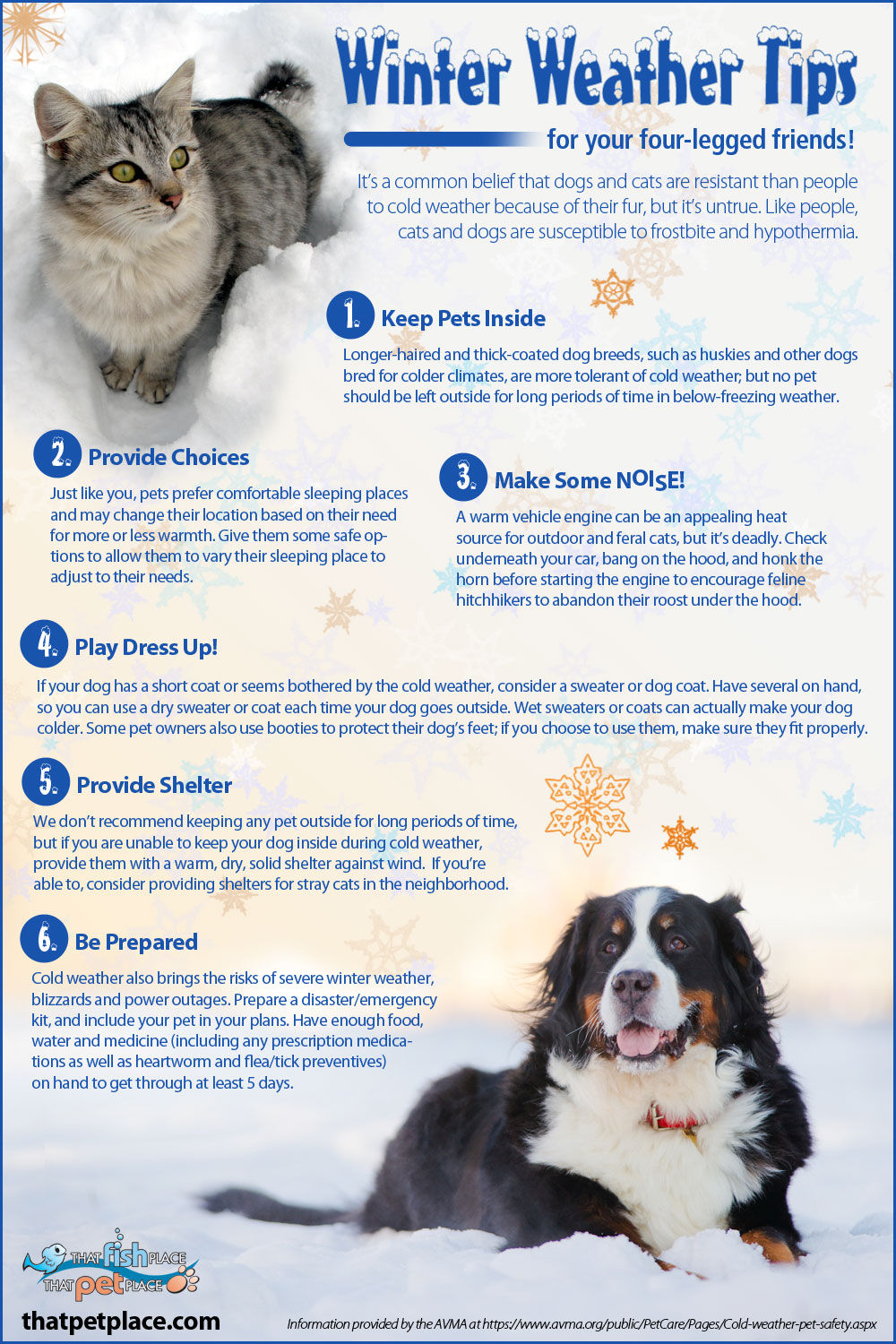ER Nurses Care Winter Safety Series 10 Top Tips For Winter Pet Safety er-nurses-care-winter-safety-series-10-top-tips-for-winter-pet-safety
