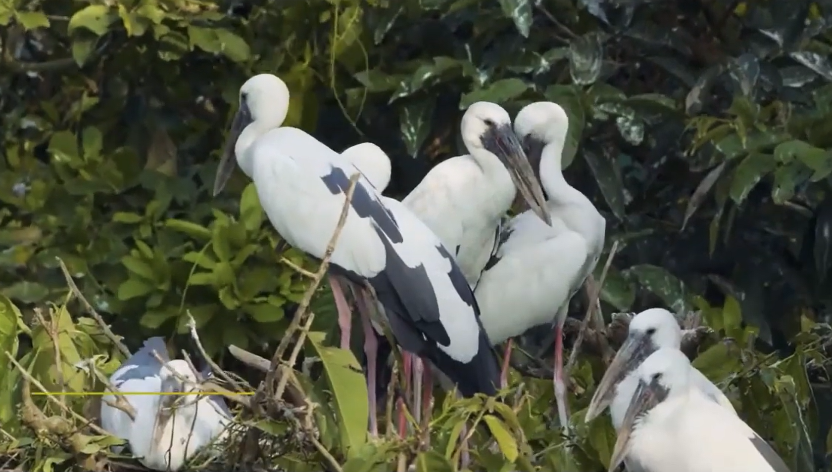 Top Offbeat Tourist Places in West Bengal