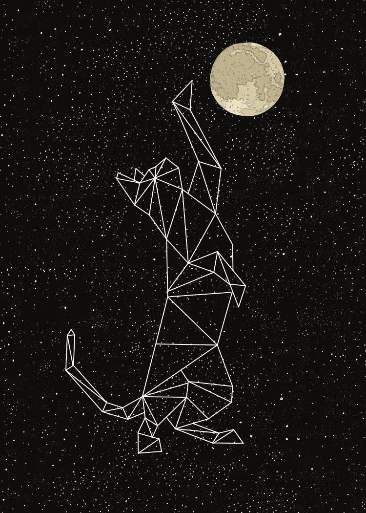 mike joos art: Cat Constellation Reaching For Moon