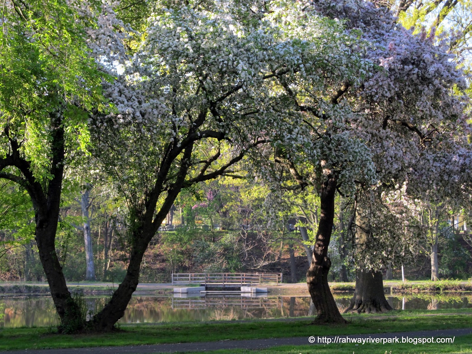 4 seasons in the life of Rahway River Park: April 2013