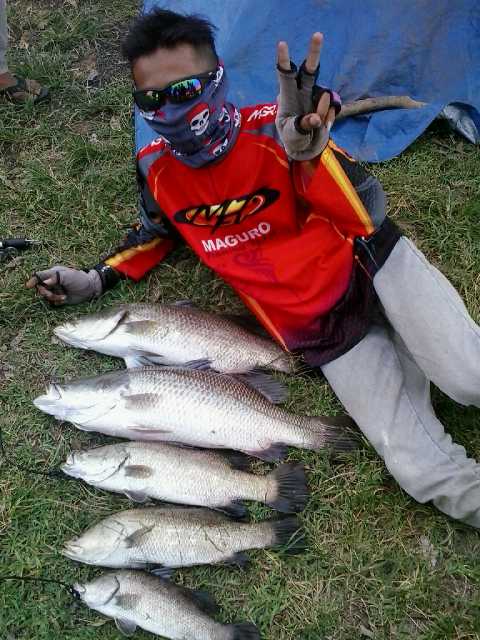 pancing jepang: Teknik mancing KAKAP PUTIH TLOCOR pancing jepang: Teknik mancing KAKAP PUTIH TLOCOR