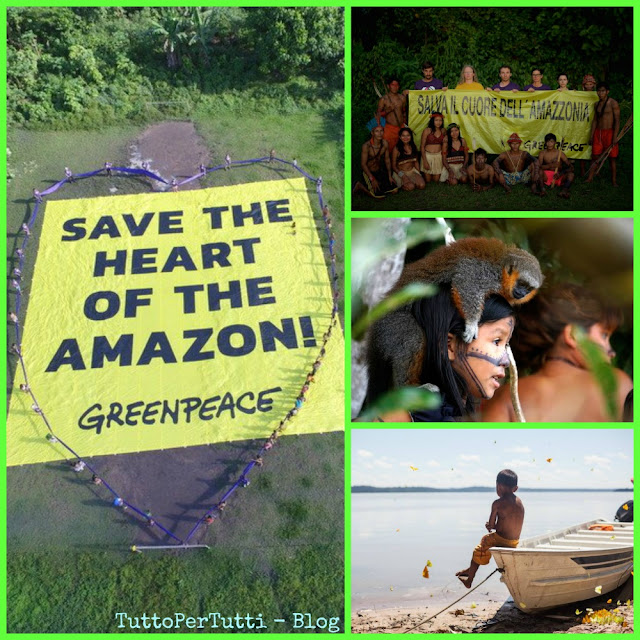 TuttoPerTutti: SAVE THE HEART OF THE AMAZON! - GREENPEACE