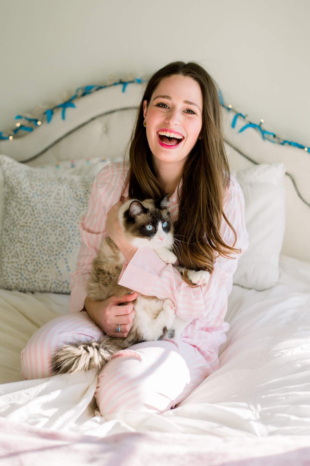 One Year of Being a Cat Mom! | Southern Belle in Training