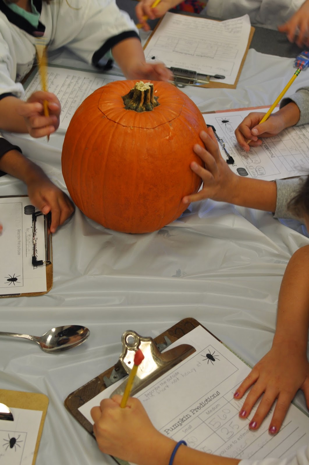The Wanderlust Teacher: How Many Seeds in a Pumpkin?