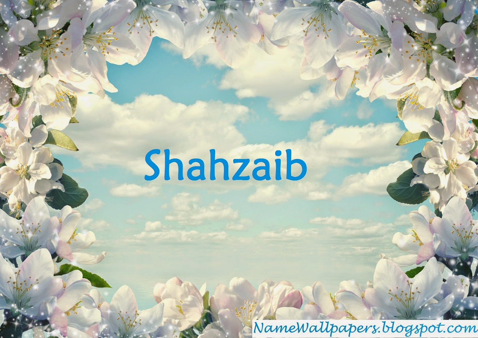 Shahzaib Name Wallpapers Shahzaib ~ Name Wallpaper Urdu Name Meaning ...