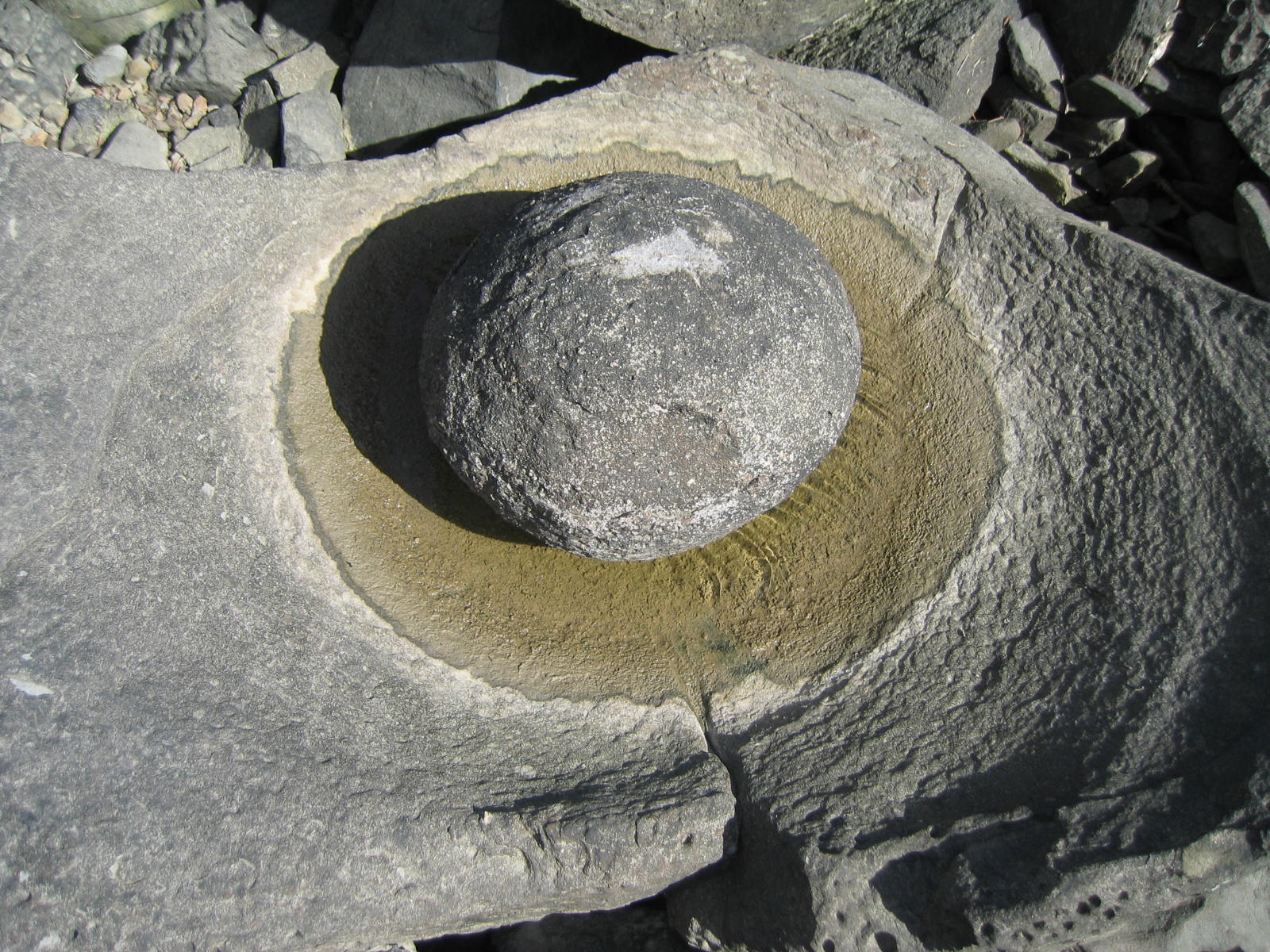 Round the Rocks: Curious New Zealand Concretions: Koutu Boulders