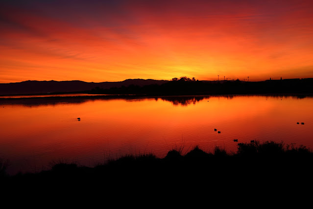 Bay Waterfront Trail