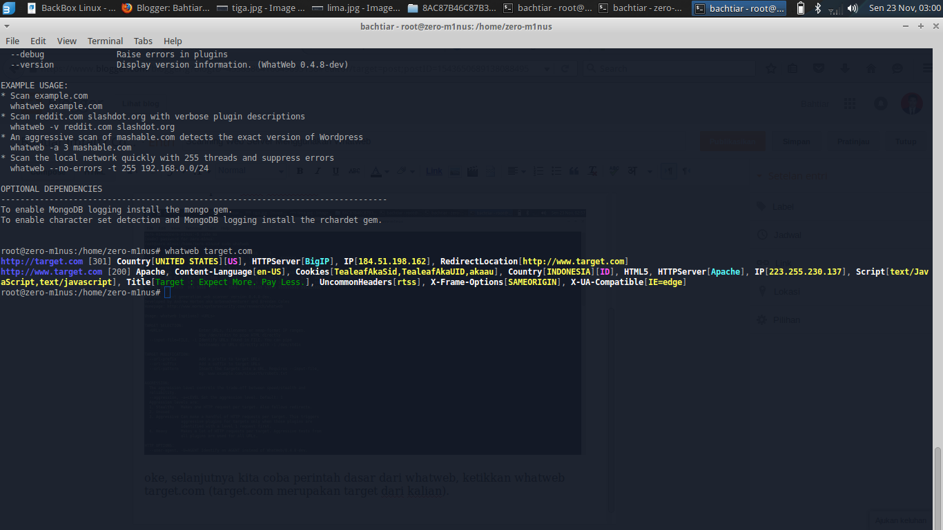 Scanning Web Server Menggunakan Whatweb - Sasak Media Sharing