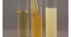 Merlins Micro World: Preparation of Nutrient Broth