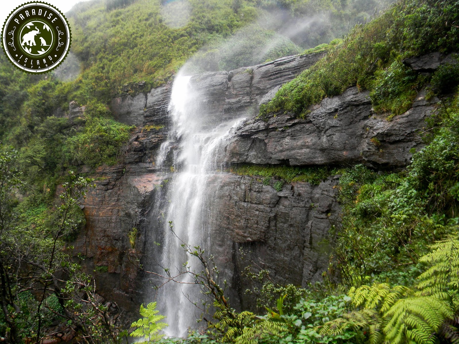 Safari Sri Lanka: Kota ganga waterfall in Knuckles Mountain Range
