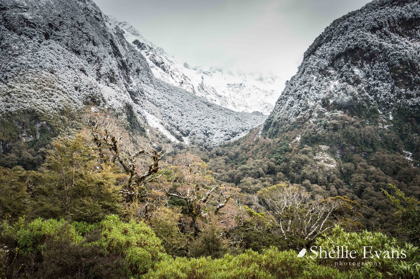 Two Go Tiki Touring: Hollyford Valley- Fiordland National Park