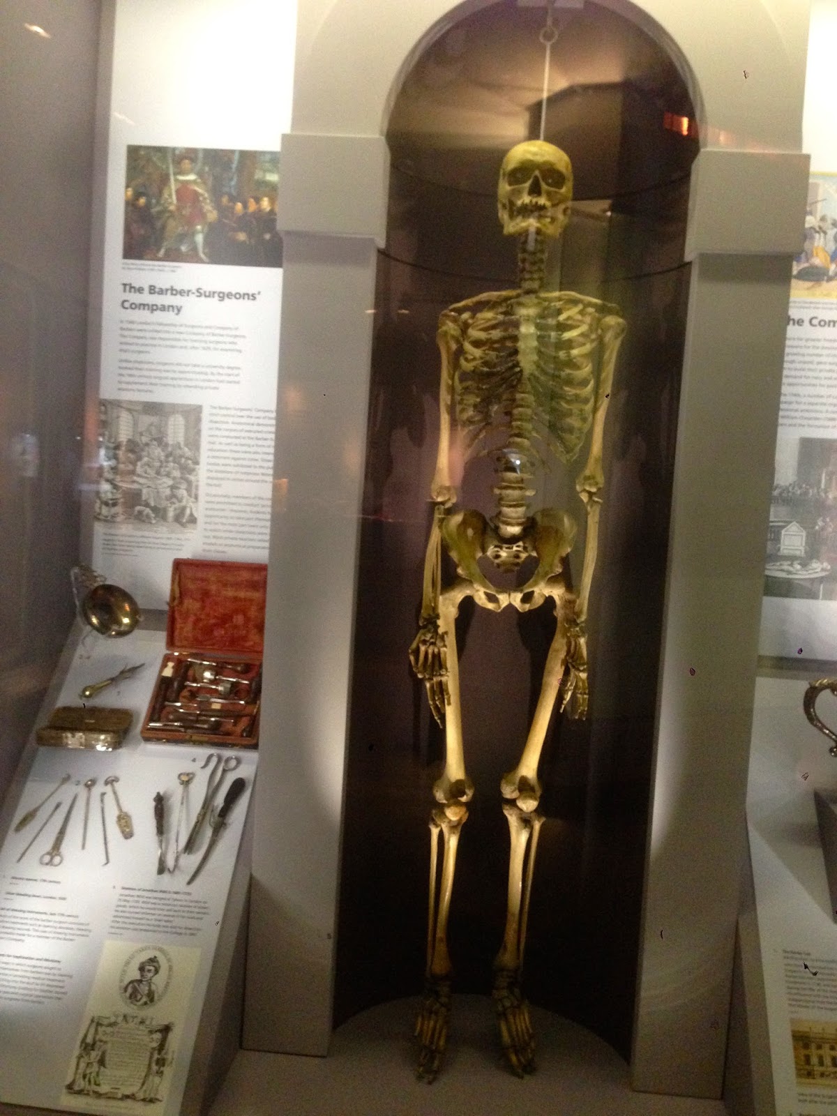 Hunterian Museum - London