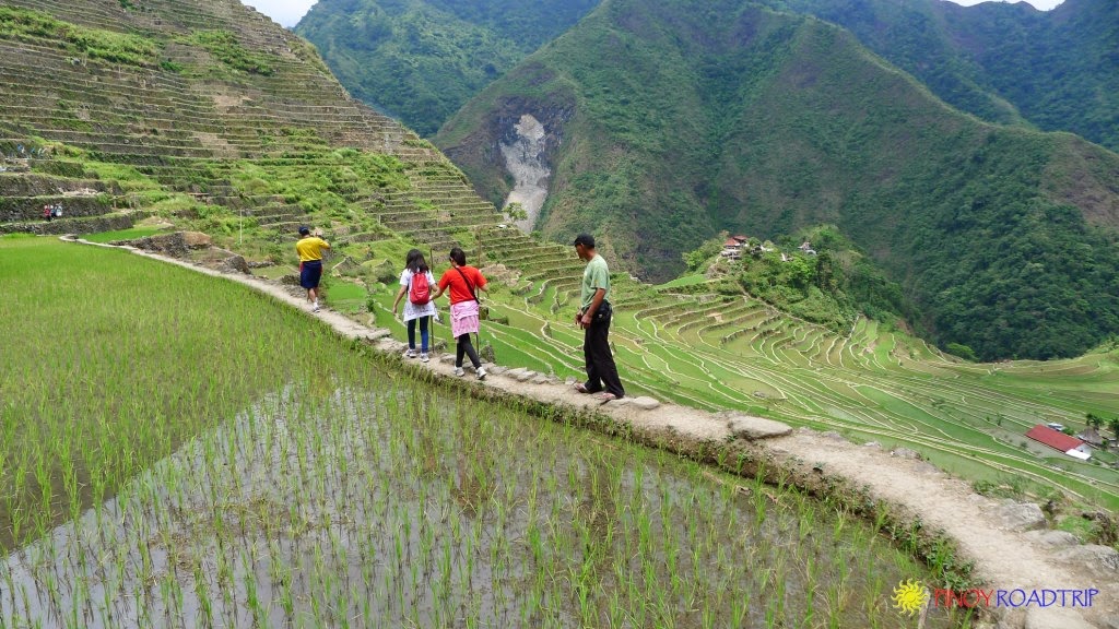 Pinoy Roadtrip: BANAUE: My Trek to the Batad Rice Terraces with Kids