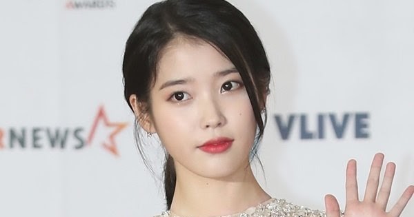 IU cast as lead in new tvN drama