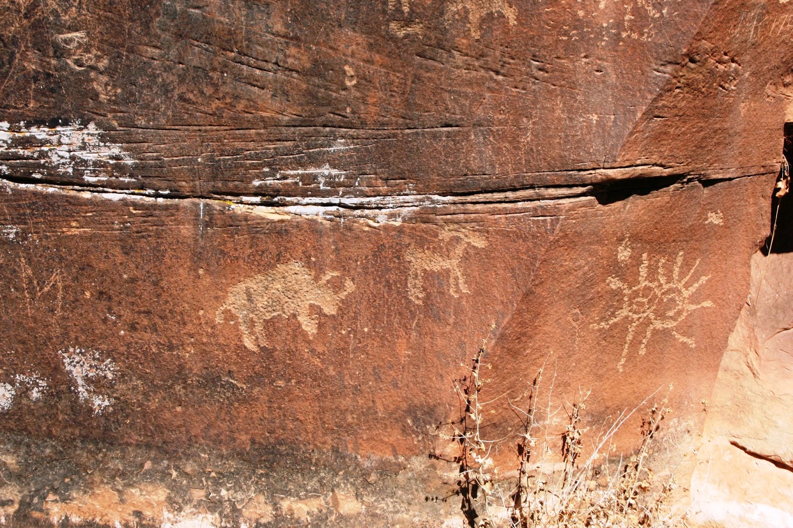 Utah Pictographs, Petroglyphs and Rock Art: Newspaper Rock Petroglyphs