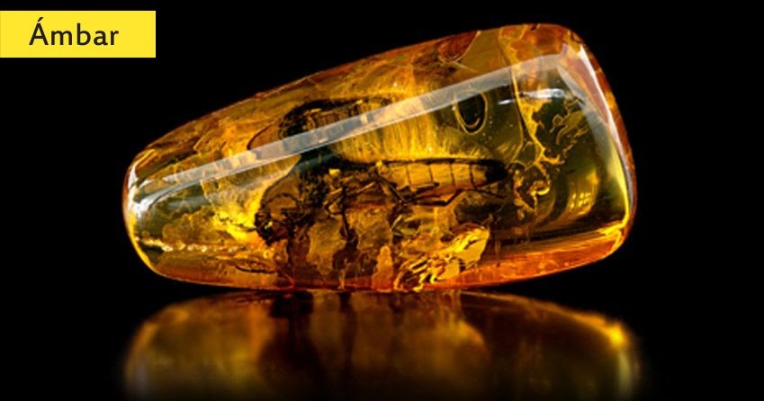 Ámbar