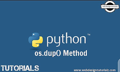 Python os.dup() Method with example - WebDesignTutorialz