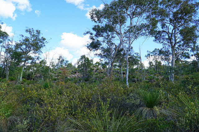FR Berry Walk Trail (FR Berry Reserve) ~ The Long Way's Better