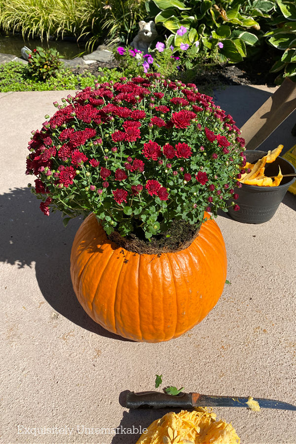 Outdoor Pumpkin Planter - Exquisitely Unremarkable