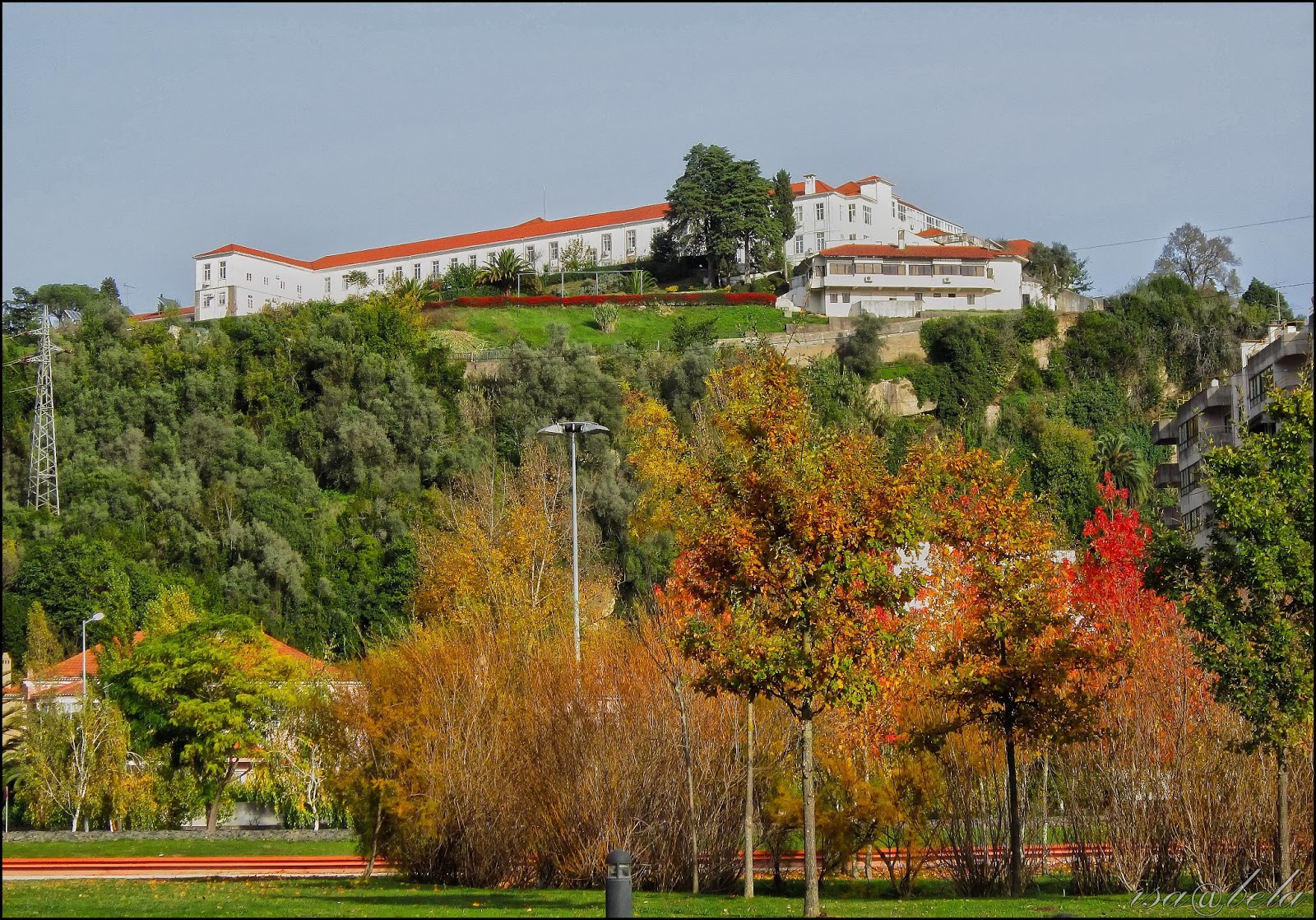 UM PIGO DE LUZ: Parque Verde do Mondego no Outono / Coimbra