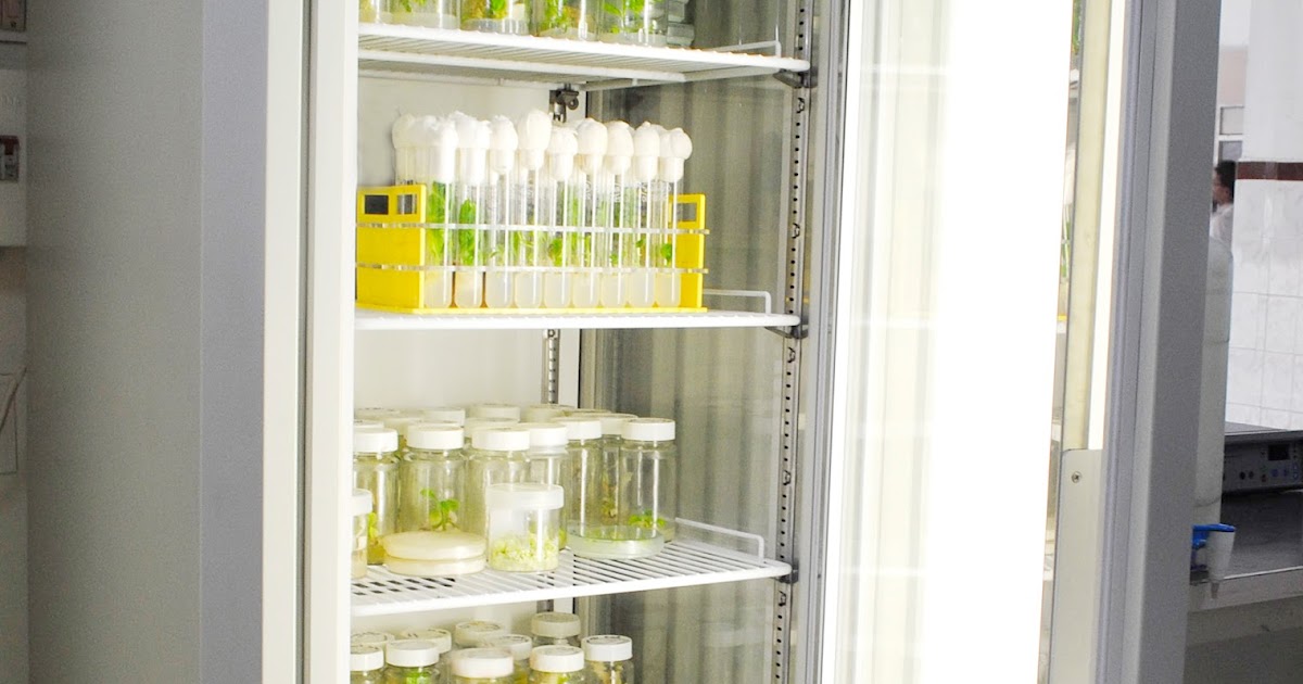 ~ Department of Genetic Engineering @ SRM University