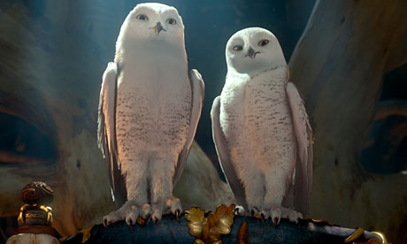 Brian Vs. Movies: Legend of the Guardians: The Owls of Ga'Hoole