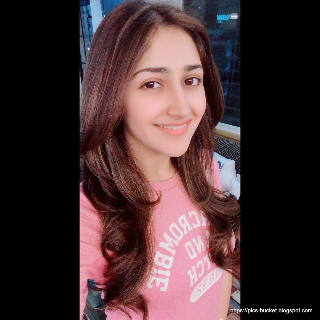 Actress Sayesha Saigal Hd Photos Latest Wallpapers