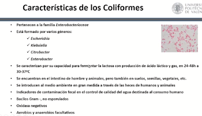Microblog: Investigación y recuento de enterobacterias lactosa ...