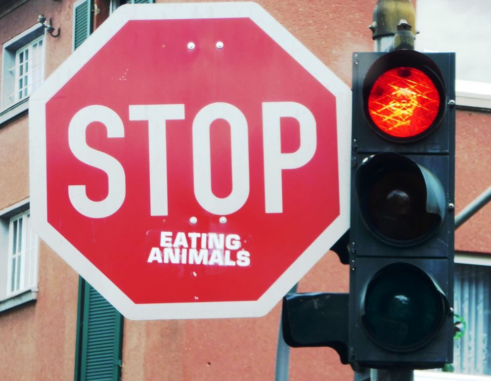 Rheumatologe: Stop Eating Animals