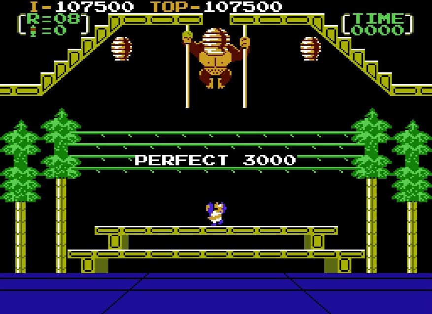 Donkey Kong 3: Stanley the Exterminator