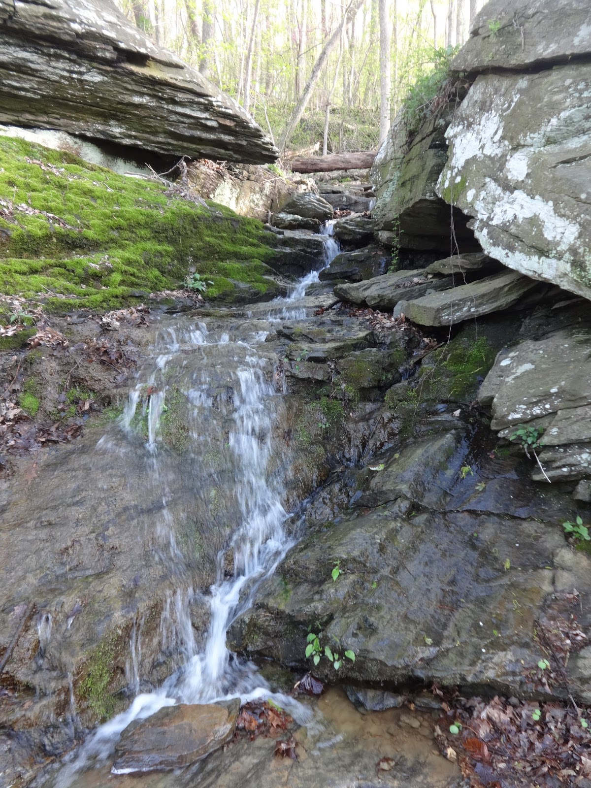 Appalachian Trail Section hiking: Snickers Gap to Harper's Ferry, Virginia