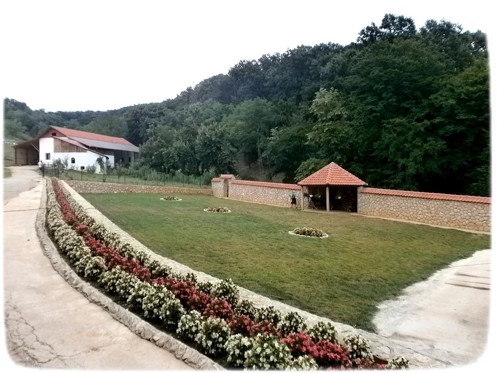 Kao na dlanu : Pokloničko putovanje / Manastiri Tumane i Nimnik