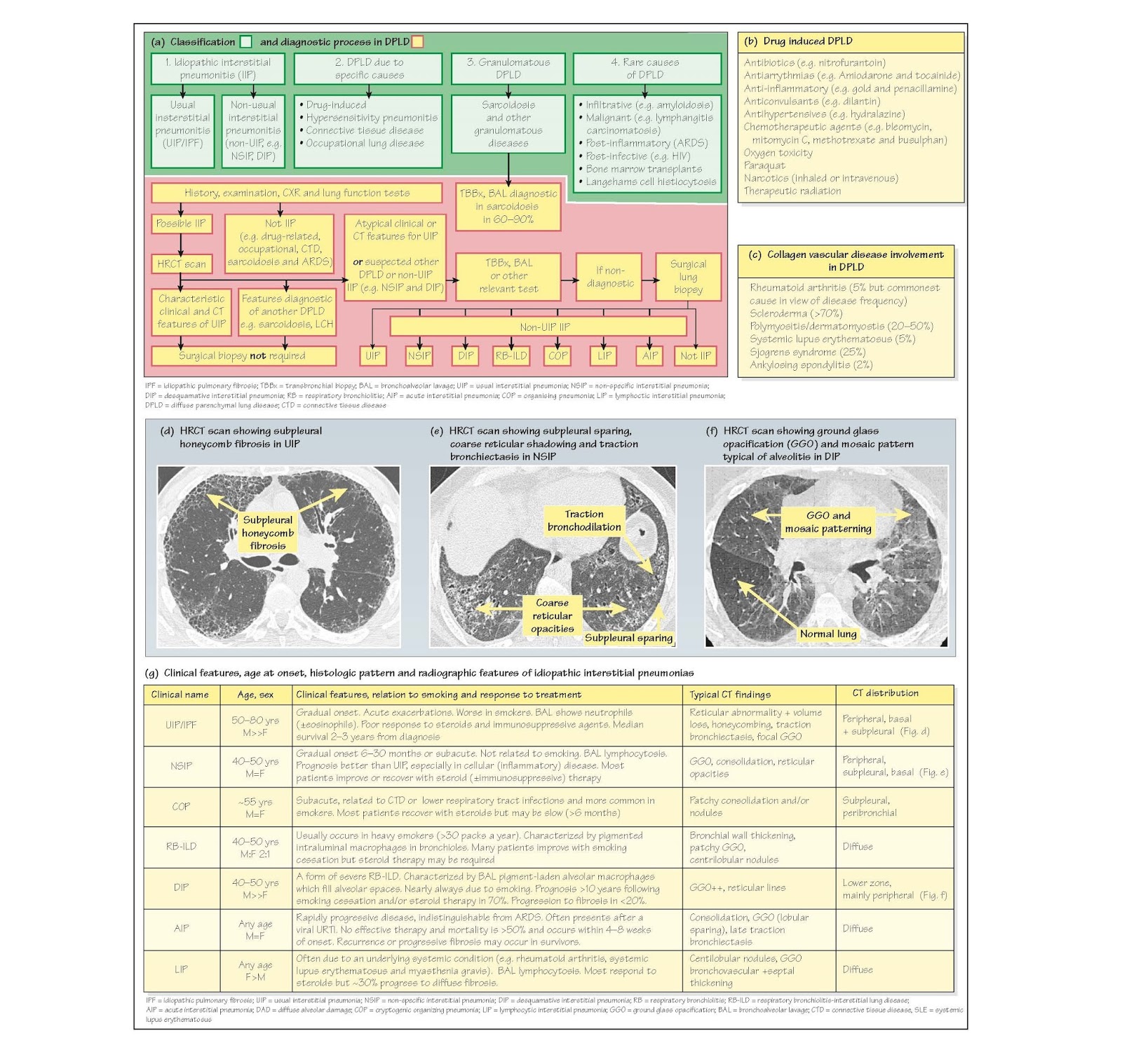 Diffuse Parenchymal (Interstitial) Lung Diseases - pediagenosis