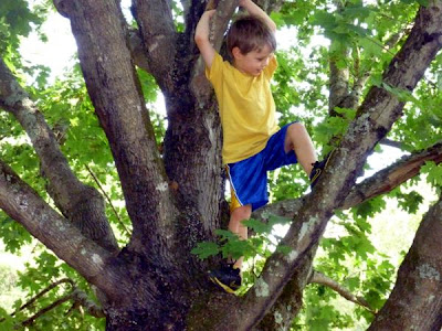 Meads Family Habitat: August 2011