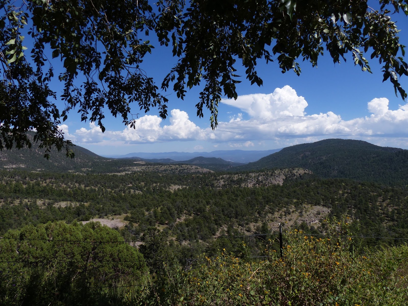 Land Cruising Adventure: Luna Lake Campground | Alpine | Arizona